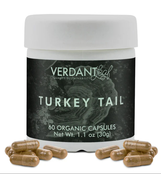 Turkey Tail Capsules | Bound To Happen